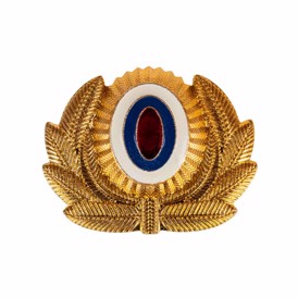 Emblemer | Køb originale militæremblemer & medaljer | 417